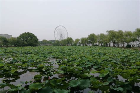 高考英语有问必答30：动词短语（10）