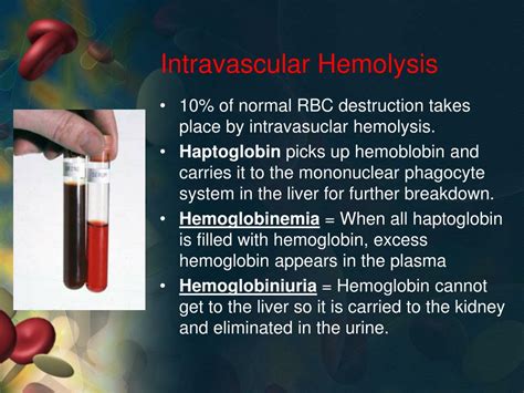 Ppt Hematology Powerpoint Presentation Free Download Id3074089