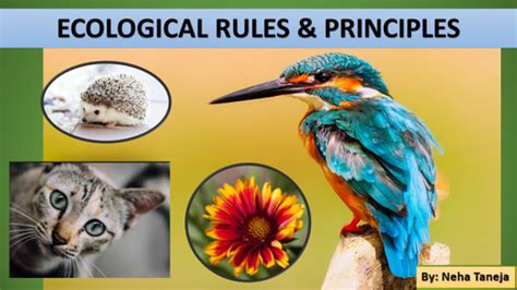 Csir Ugc Net Hindi Ecological Rules And Principles Csir Ugc Net By Unacademy