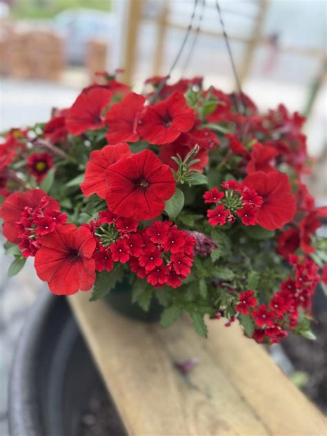 Bryan Jacobs 2 Closings Today Second Was To My Friends And Client Ed