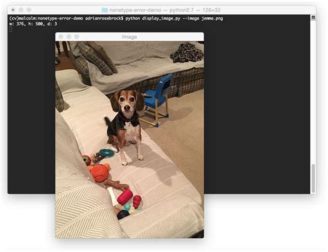 Opencv Resolving Nonetype Errors Pyimagesearch