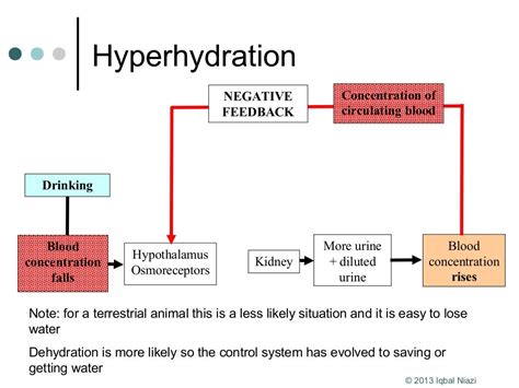 Osmoregulation
