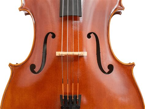 How Many Strings Does A Cello Have Ted S List