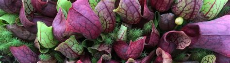 Resources For Members Iucn Us National Committee