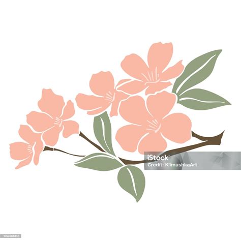 Cabang Bunga Pohon Pohon Buah Berbunga Musim Semi Ilustrasi Stok