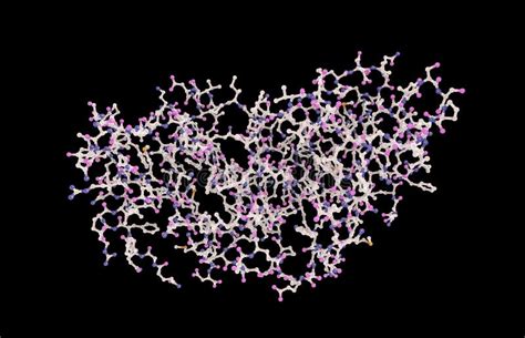 Molecular Model Of Interferon Gamma Stock Illustration Illustration