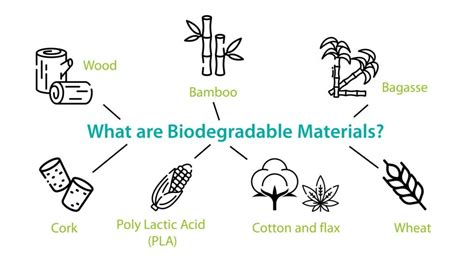 Key Characteristics Of Biodegradable Materials