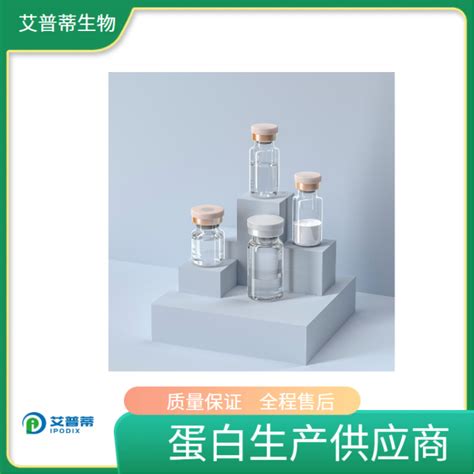 Itch重组蛋白；e3泛素蛋白连接酶瘙痒同系物 快速表达 产品关键词itche3连接酶itche3酶