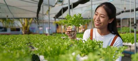 AI In Agriculture Challenges Benefits And Use Cases EcoGrow