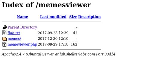 Shellter Labs Writeup — Memes Writeup For Shellter Labs “meme” Web