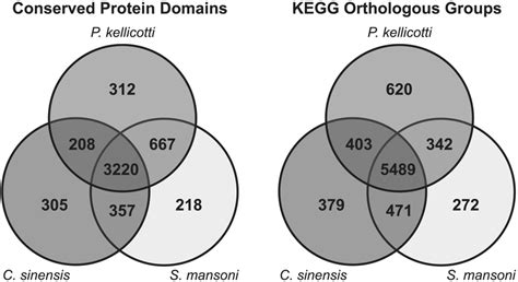 Distribution Of Protein Sequence Similarity Matches Among Three