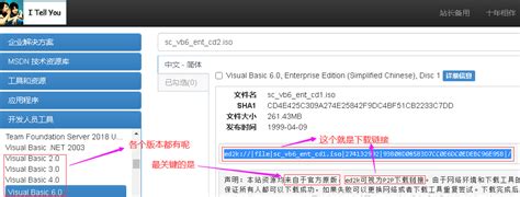 vb的sp6更新到2021版了，却安装不上？快来看这里 visual basic sp6 2021下载 csdn博客
