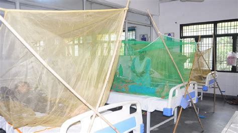 Moradabad 11 People Died Due To Dengue And Fever Condition Of