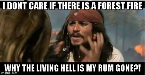 Why Is The Rum Gone Meme Imgflip