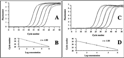 Amplification Plots And Standard Curves Obtained For Ef3 Gene Dosage A Download Scientific
