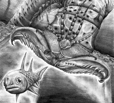 Ontario Geologist Finds Fossil Of Giant Worm Names It After Death