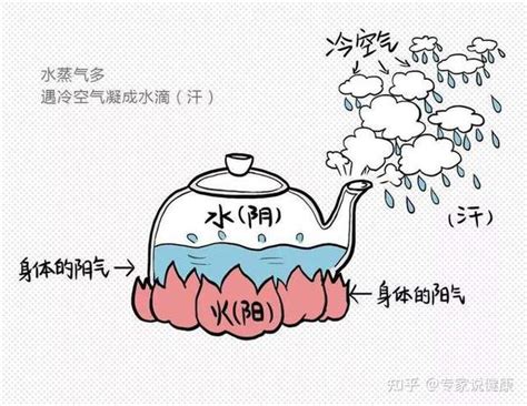 经常手脚心出汗，多半是这类原因！如何从根源调理，固表止汗！ 知乎