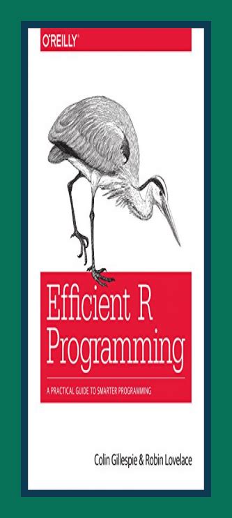 Colin Gillespie Efficient R Programming A Practical Guide To Smarter