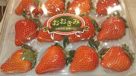 【楽天市場】【1月中旬以降順次発送】宮崎県産 大粒 いちご 【 おおきみ 特大サイズ 12粒 】380g以上1粒あたり30～39g【日付