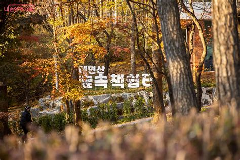 서울시 내 손안에 서울