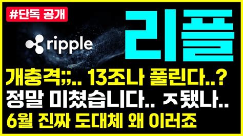리플 개충격 13조의 자금이 풀린다 정말 미쳤습니다 큰일났나 진짜 도대체 왜 이러는거죠 리플 리플코인