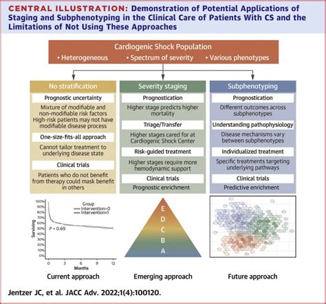 Advances In The Staging And Phenotyping Of Cardiogenic Shock Part 1 Of