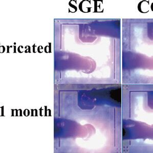 SEM Images Of A Bare Graphene And B CGE On SiO2 Si Substrate C