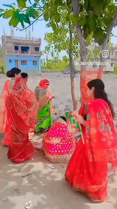 ️ ️vat Savitri Vrat Shorts Viral Viedo Youtube