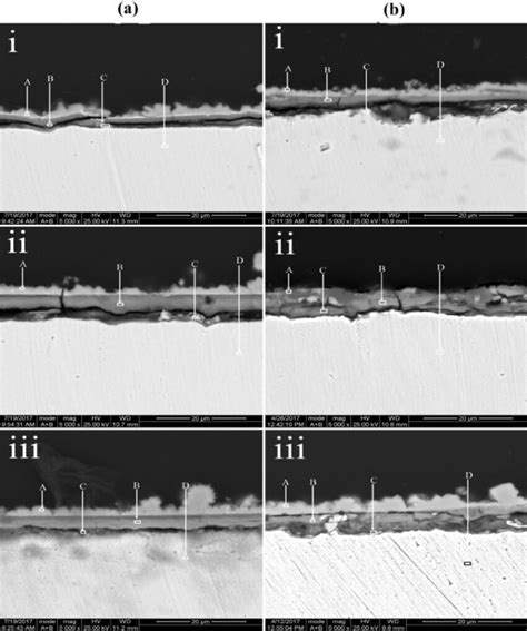 Sem Cross Sectional Morphology And Eds Inca Point Mapping Of The