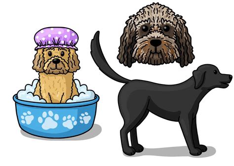 Beth Wilson Artist Creator Of Doodlecats Digital Artist