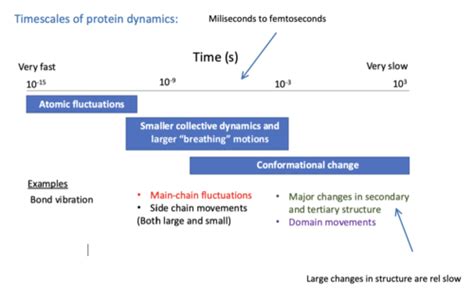 Protein Structure Dynamics Flashcards Quizlet