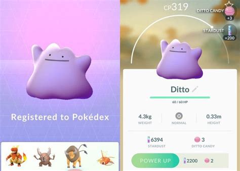 Cómo capturar a Ditto en Pokémon GO 100 garantizado 2023