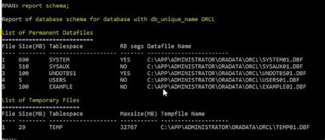Remote Infrastructure Management ORACLE RMAN Backup Using NetBackup