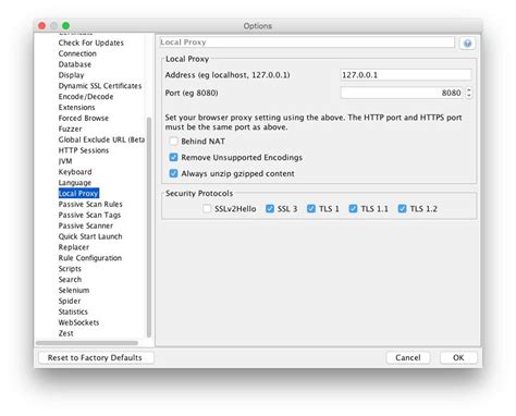 How To Set Up OWASP ZAP And FoxyProxy On MacOS