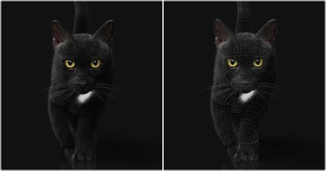Highly Realistic Cat Animation Made With Maya Zbrush And Xgen