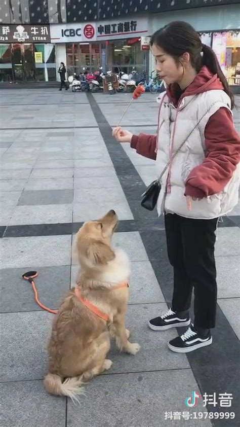 莫名的，就是喜欢 知乎