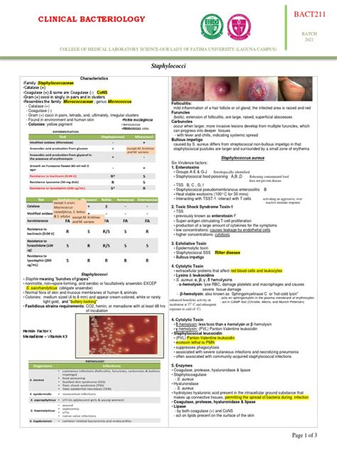 Mid1 Bacte Staphylococci Pdf Staphylococcus Staphylococcus Aureus