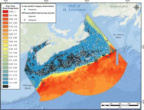 Presence And Absence Observations And Predictions Of Presence Download Scientific Diagram