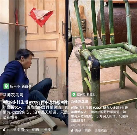 模仿张同学和李子柒的帅农鸟哥掌握了农村短视频的财富密码 观众 王冰冰 账号
