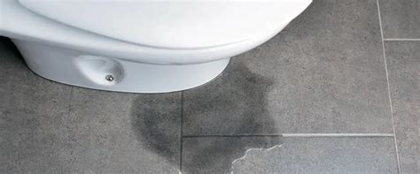 Toilet Leaking At Base Discover The Top 4 Causes Blog Pom Plumbing