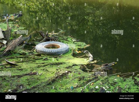 Floating Debris On The Des Plaines River Cook County Illinois Stock