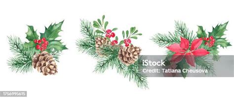 크리스마스 꽃다발 세트입니다 솔방울과 가지 빨간 열매 포인세티아 카우베리 링곤베리가 있는 홀리 식물 새해와 크리스마스의 상징