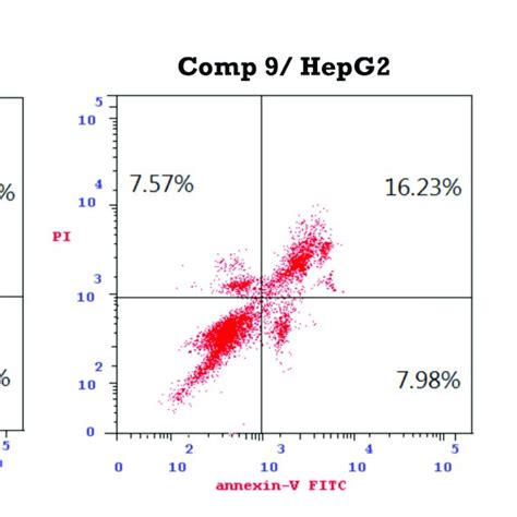 Compound 9 Induces Apoptosis In Hepg2 Cells A Hepg2 Cells Were