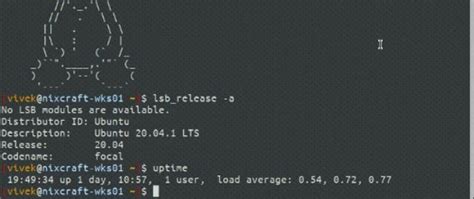 Learning Linux Is As Easy As Tree Dev Community