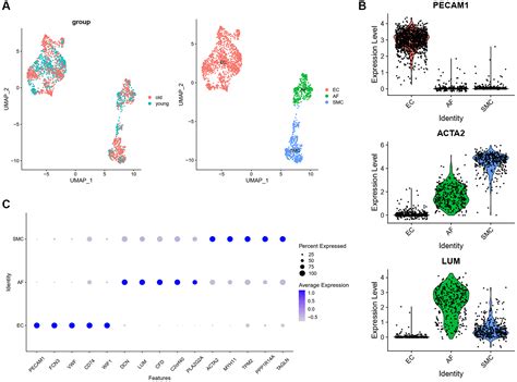 Identification Of Cellular Heterogeneity And Key Signaling Pathways