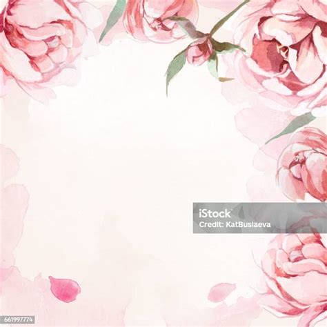 수채화 핑크 장미 그리고 빨간색 모란과 장미 배경에 나뭇잎의 패턴 꽃 식물에 대한 스톡 벡터 아트 및 기타 이미지 꽃 식물 꽃무늬 결혼식 Istock