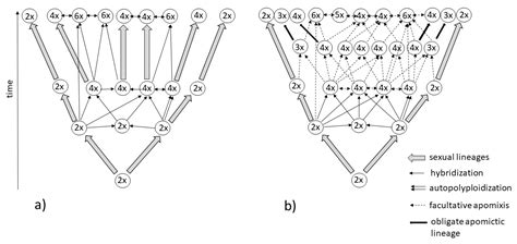 Novel Approaches For Species Concepts And Delimitation In Polyploids And Hybrids
