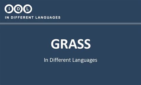 Grass In Different Languages Translate Listen And Learn