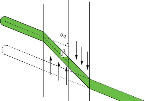 Schematic Diagram Of Root Stress And Deformation A Vertical Root
