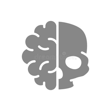 具有头骨线图标的人脑 健康内脏、中枢神经系统符号 向量例证 插画 包括有 人力 智能 流行病 火炮 177767624